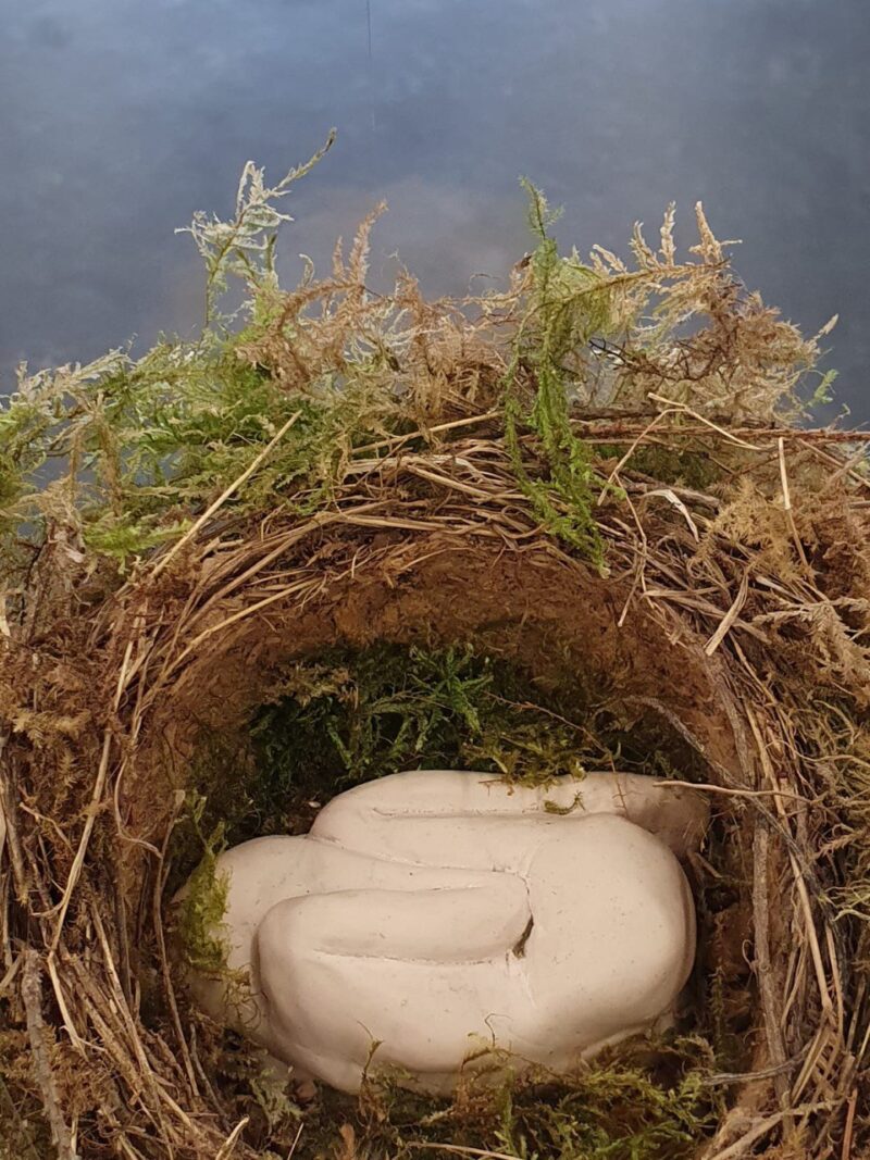 Nest, Nora Drahota – Staatliche Akademie der Bildenden Künste Stuttgart