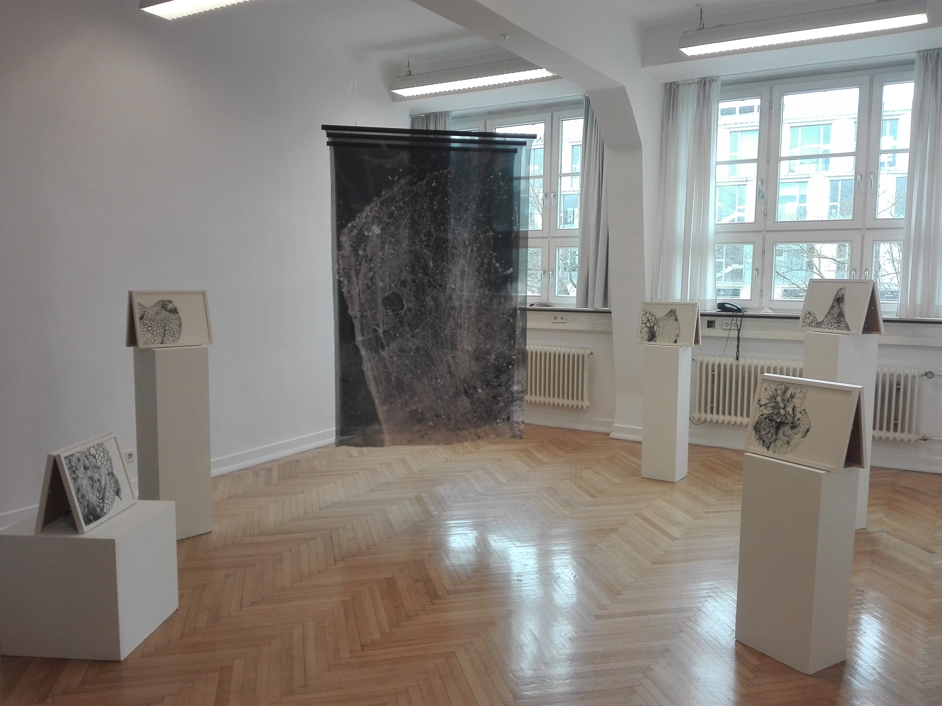 Der Die Altere Abk