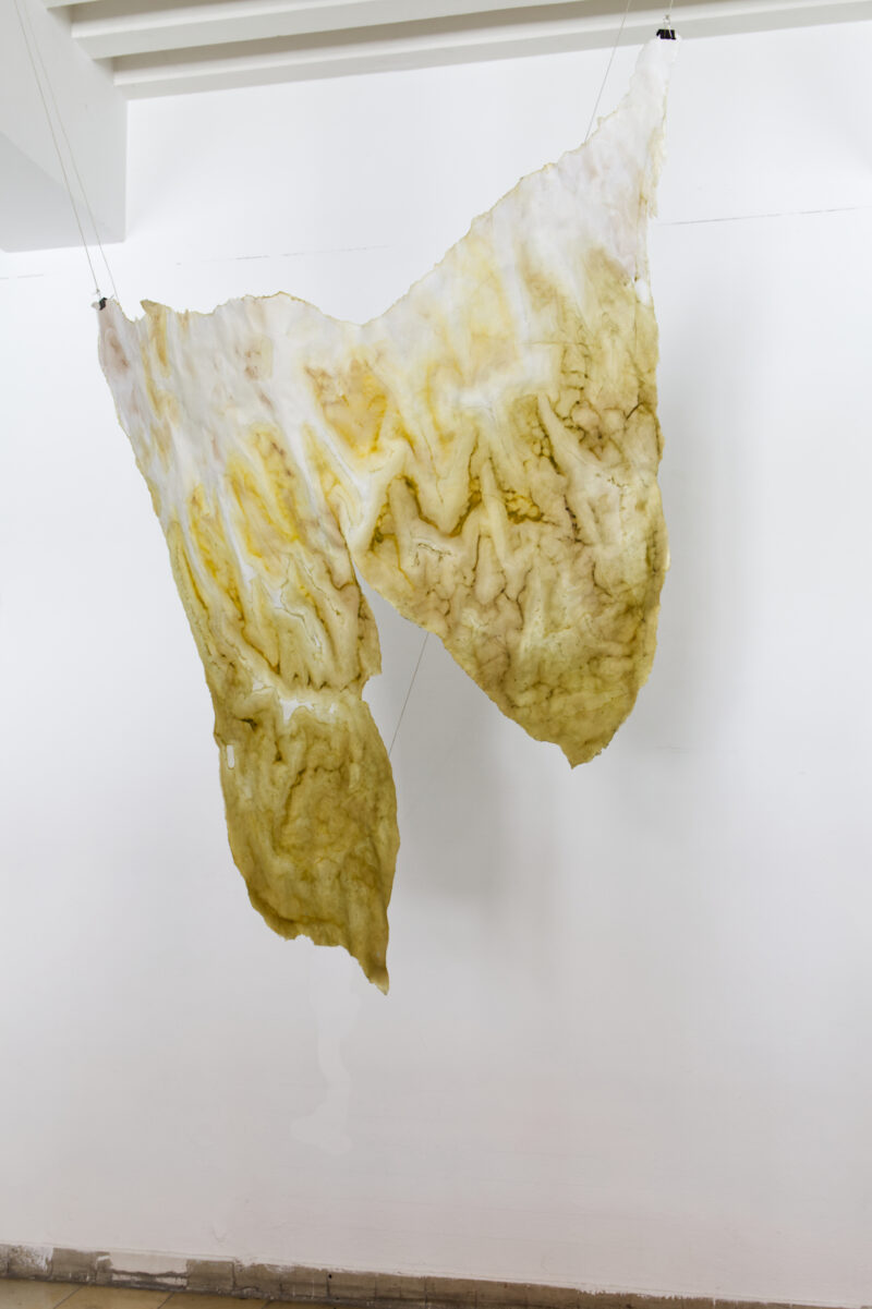 Vibrant Matter (5), Stephanie Bothe – Staatliche Akademie der Bildenden ...